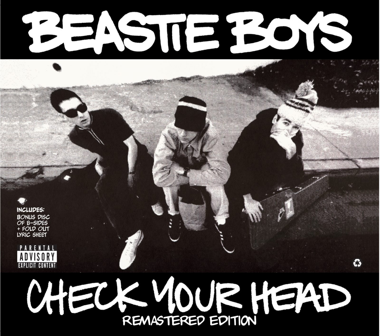 20 anos de Check Your Head | SOUL ART